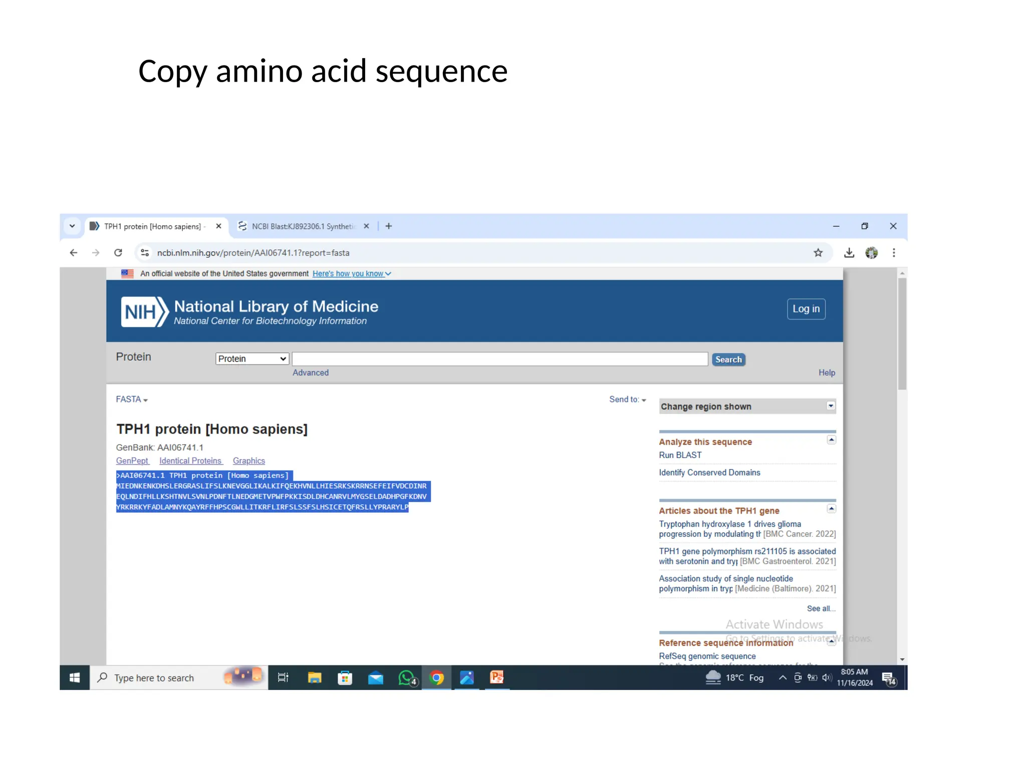 Blastn, Blastp & Phylogenetic tree using mega 11.pptx