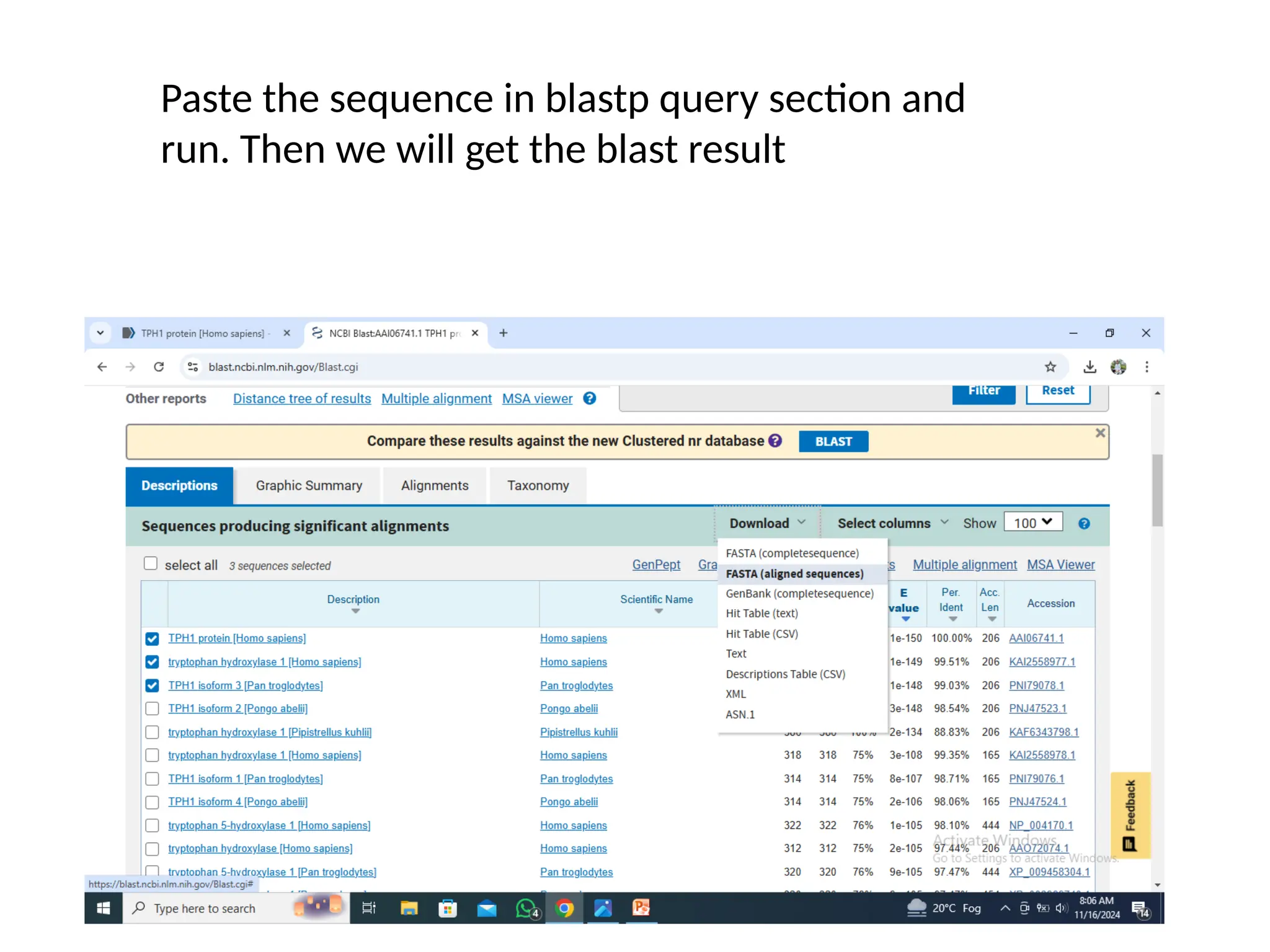 Blastn, Blastp & Phylogenetic tree using mega 11.pptx