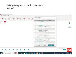 Blastn, Blastp & Phylogenetic tree using mega 11.pptx