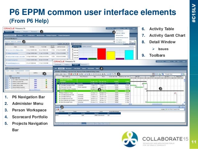 Demystifying P6 EPPM Dashboards