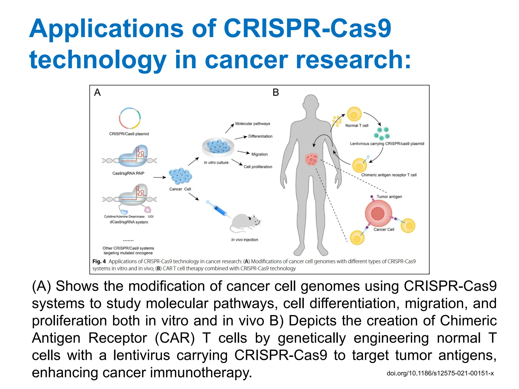 CRISPR-Cas9: Revolutionizing Gene Editing and Therapy | PPT