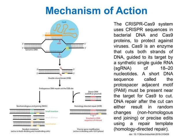 CRISPR-Cas9: Revolutionizing Gene Editing and Therapy | PPT