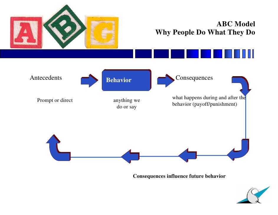 Keeping the Process Alive: Data Analysis and Reinforcement for BBS
