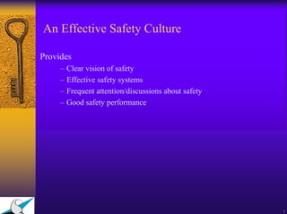 The Practice of Safety Leadership | PDF