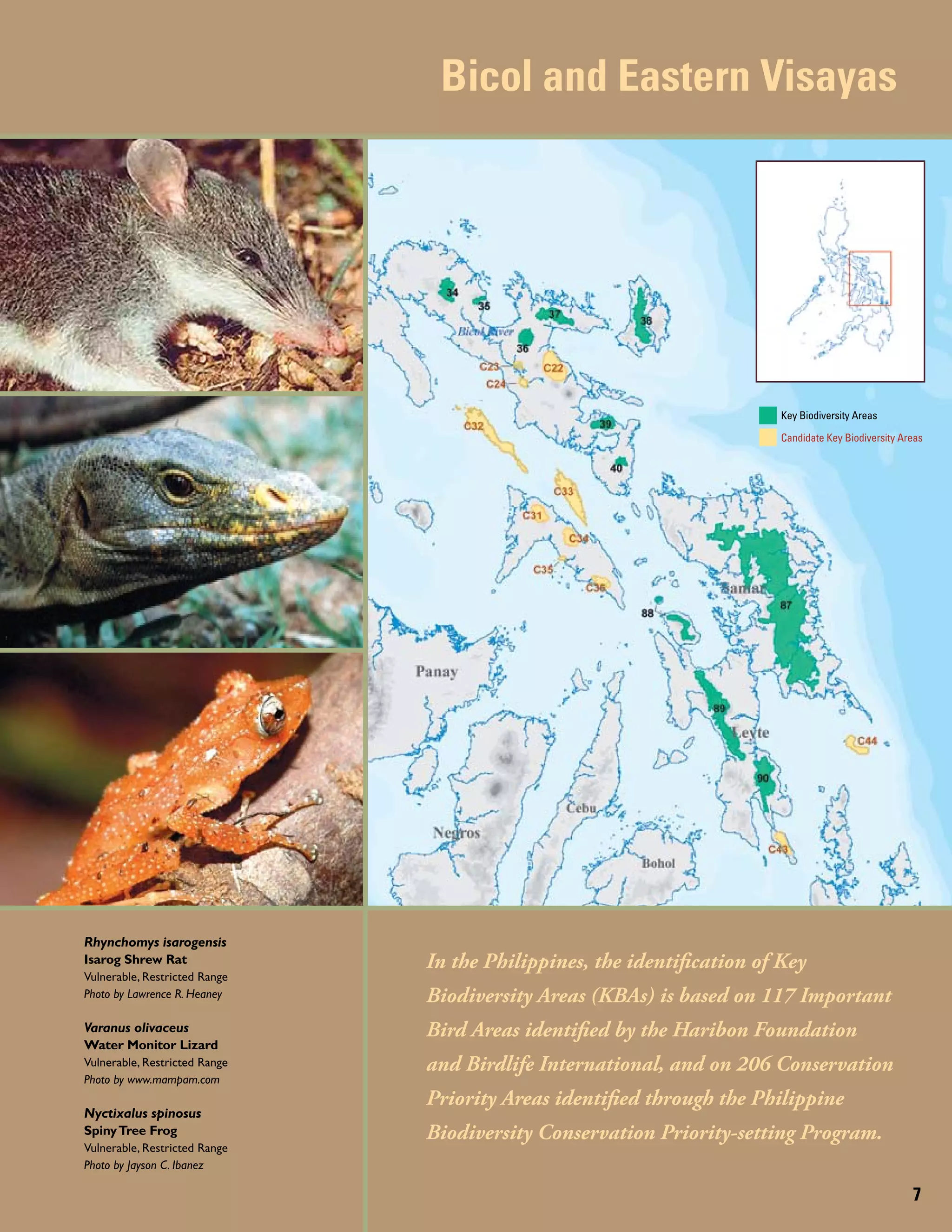 Priority Sites for Conservation in the Philippines: Key Biodiversity ...