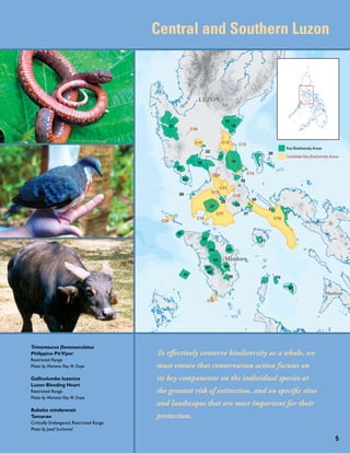 Priority Sites for Conservation in the Philippines: Key Biodiversity ...