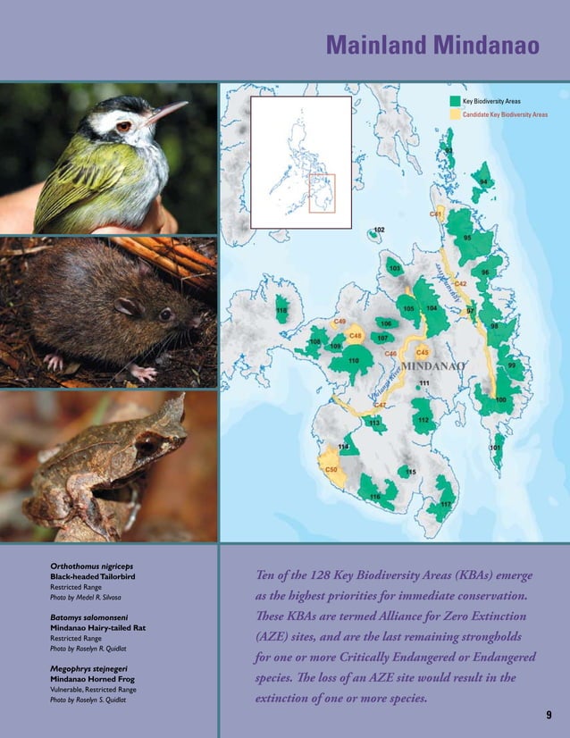 Priority Sites for Conservation in the Philippines: Key Biodiversity ...