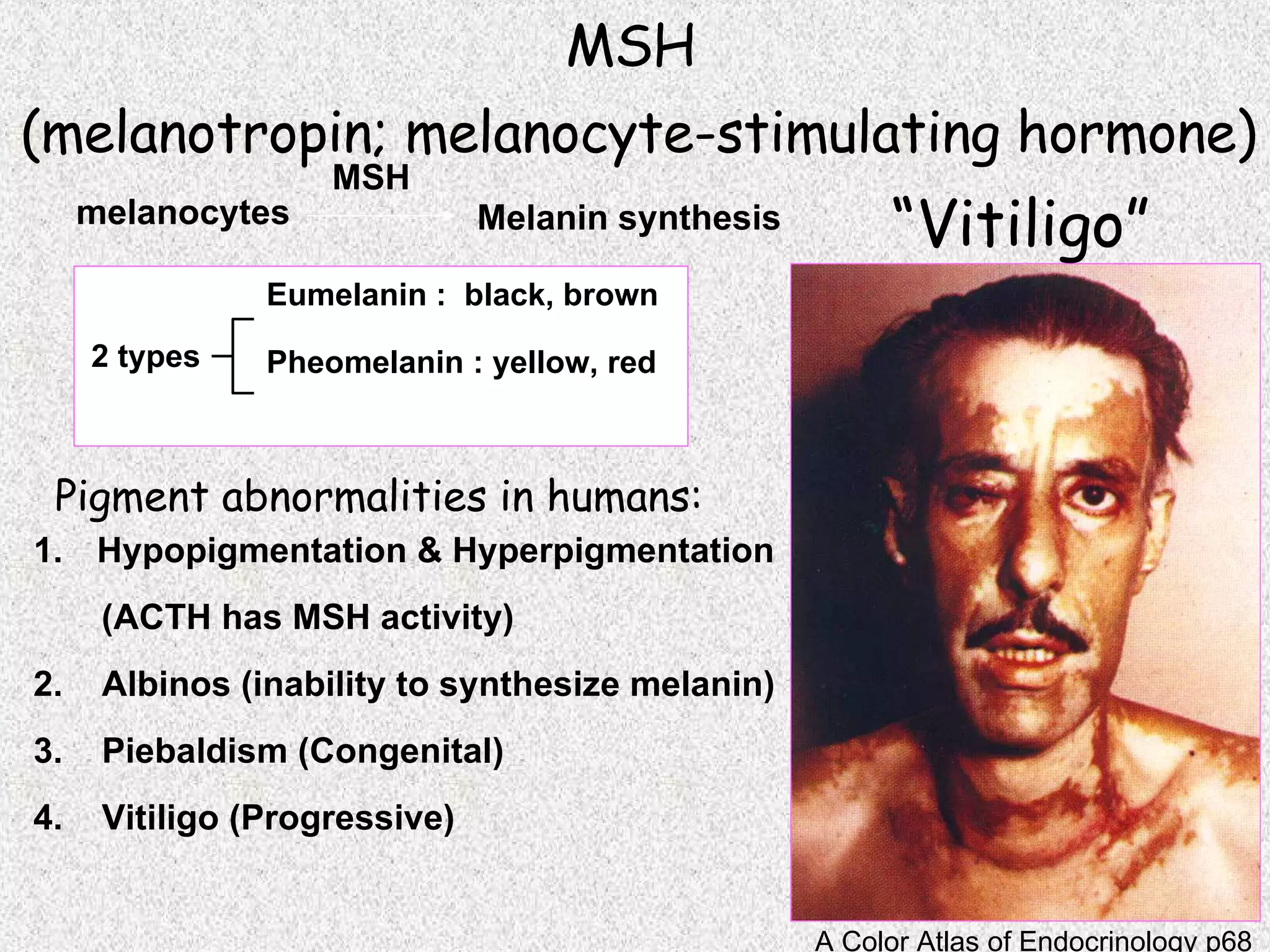 2006endocrine Pituitary Gland Ppt