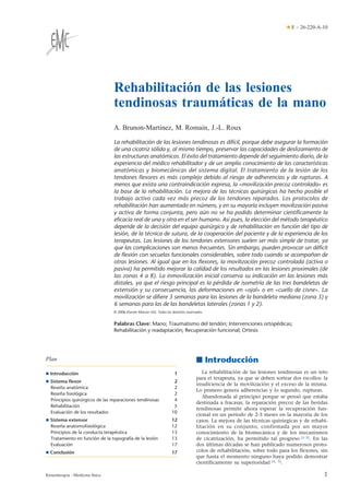 Rehabilitación de las lesiones tendinosas traumáticas de la mano | PDF