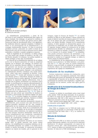 Rehabilitación de las lesiones tendinosas traumáticas de la mano | PDF