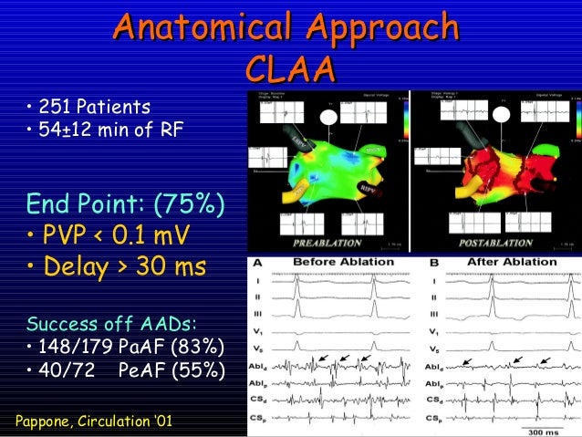 2006 roma, progress in clinica pacing 2006. i sistemi di mappaggio 3