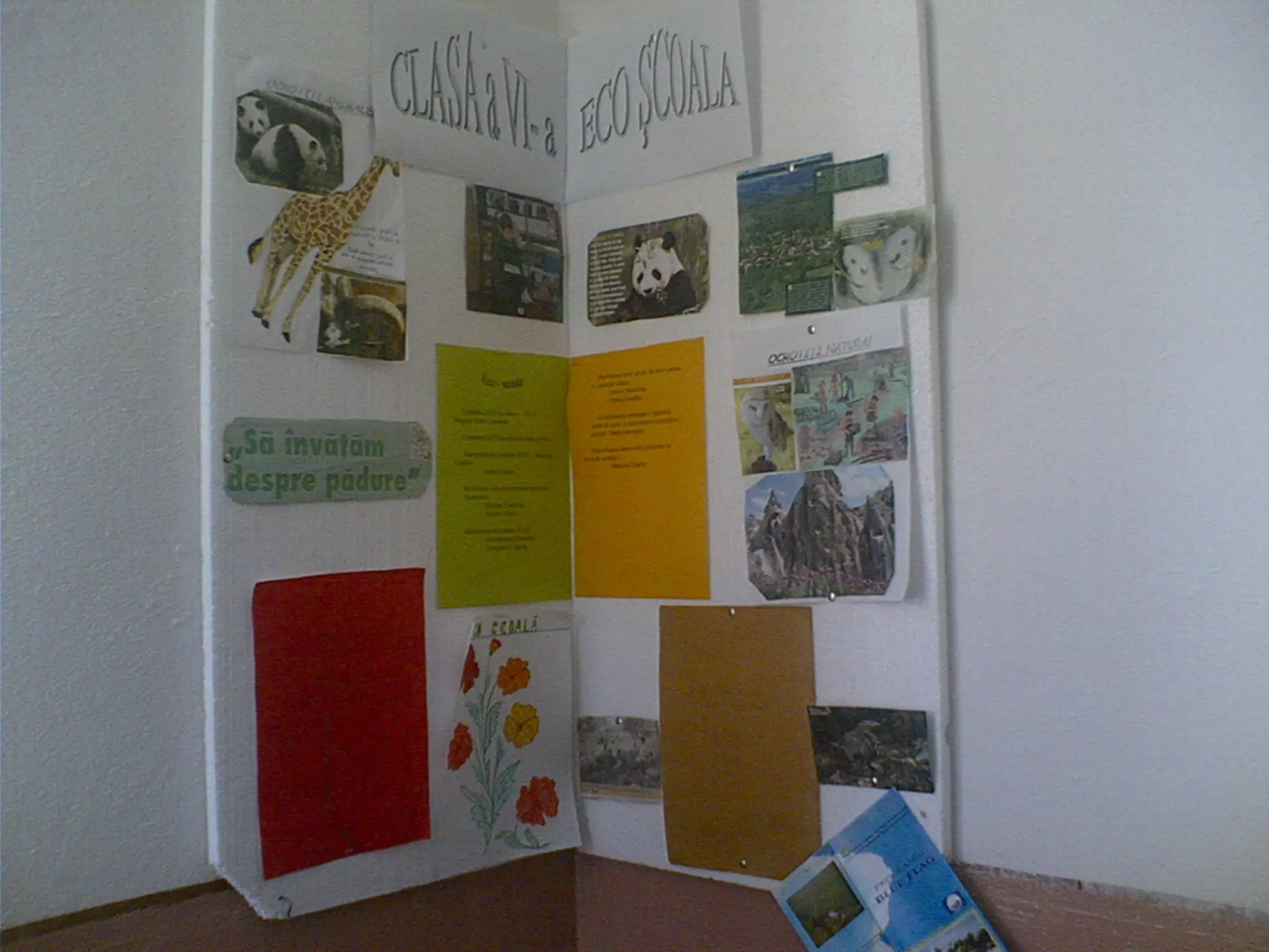 2007 2008 proiect eco -scoala | PPT