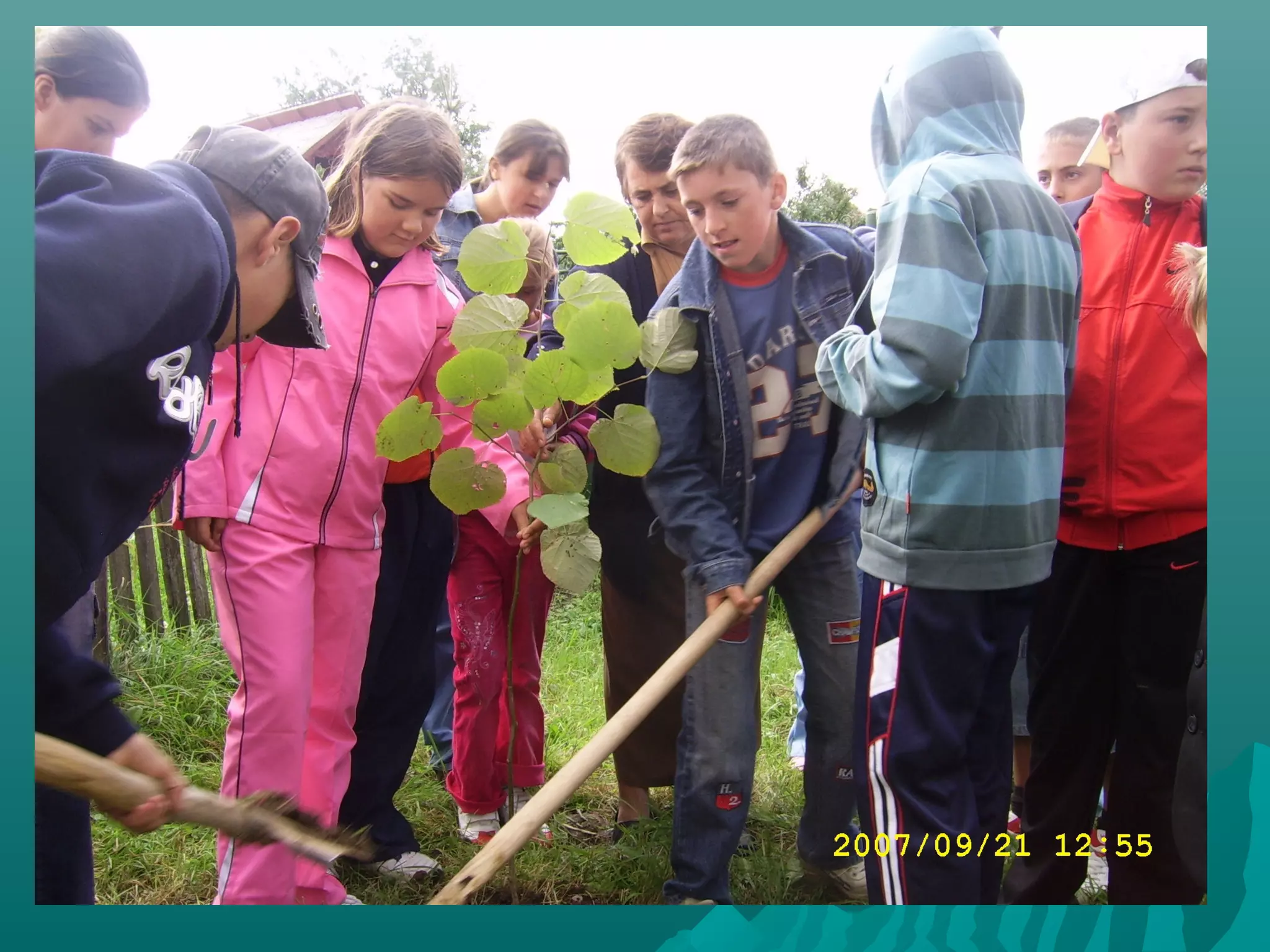 2007 2008 proiect eco -scoala | PPT