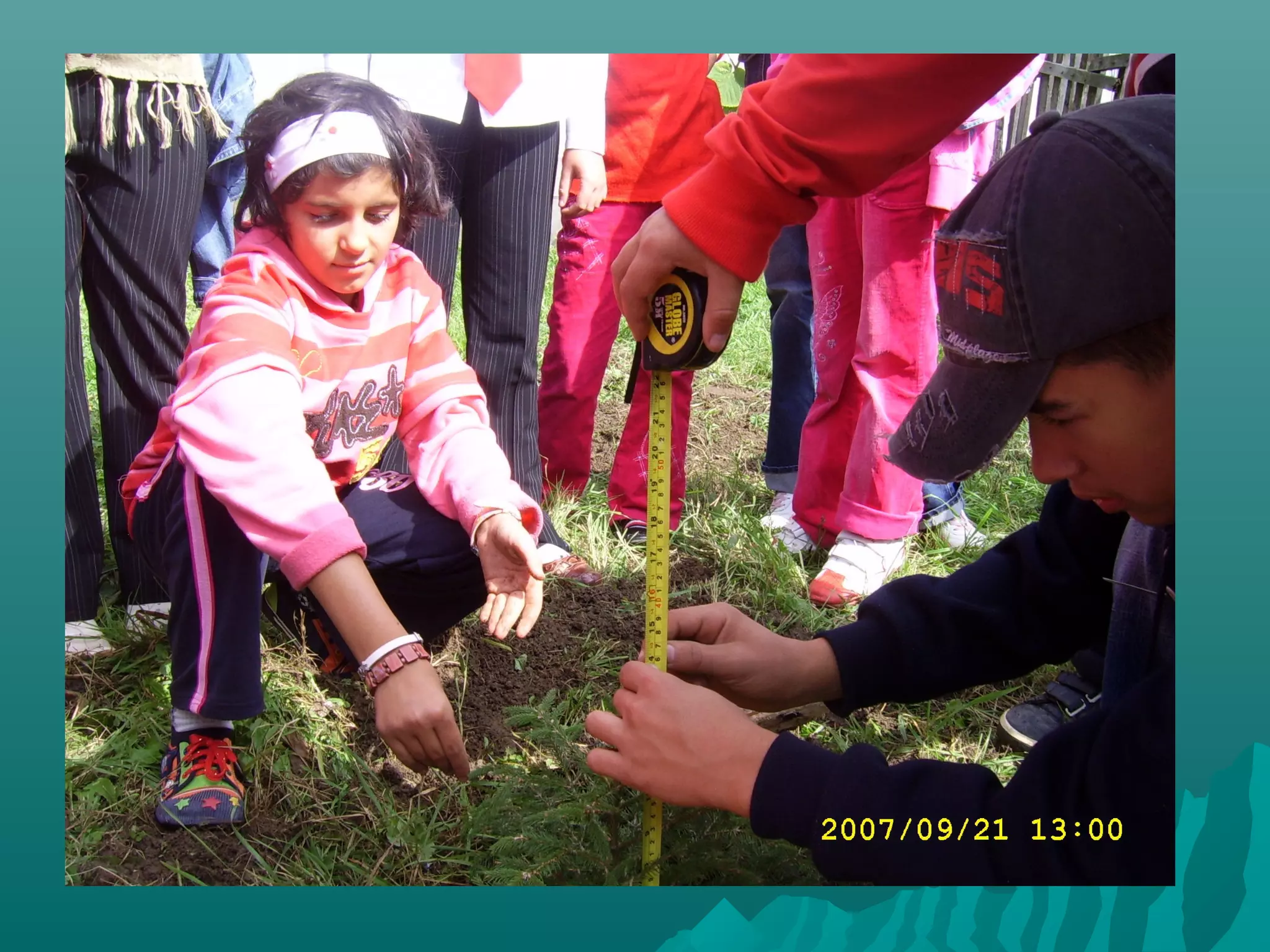 2007 2008 proiect eco -scoala | PPT