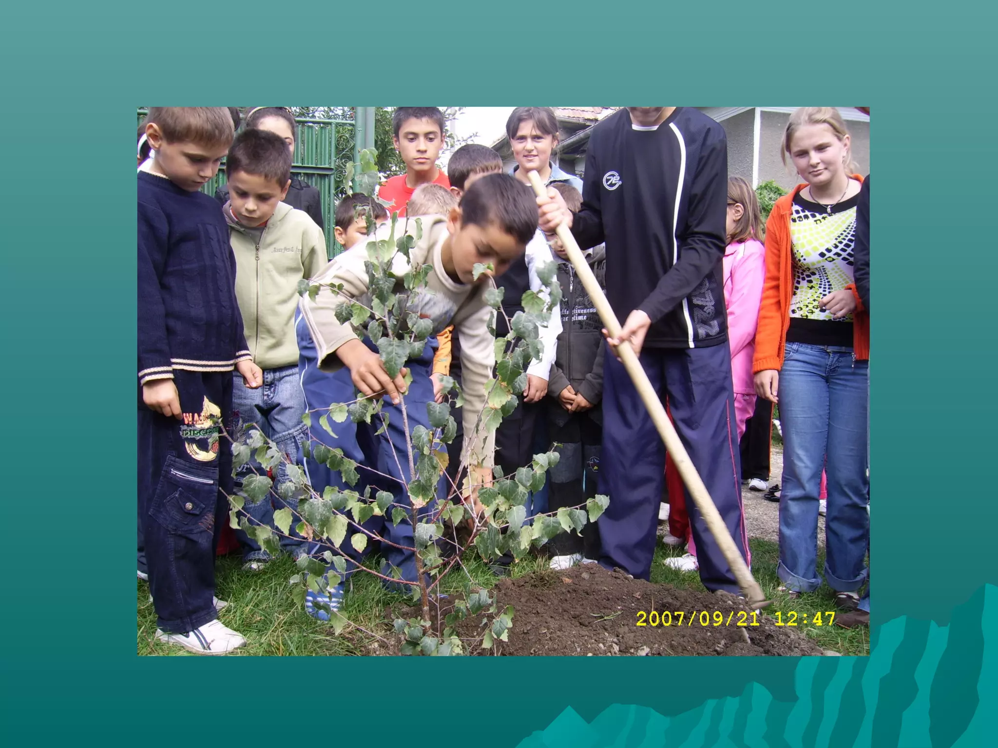 2007 2008 proiect eco -scoala | PPT