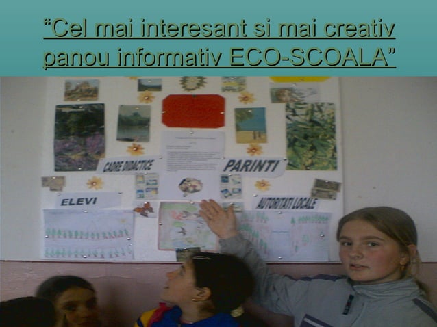 2007 2008 proiect eco -scoala | PPT