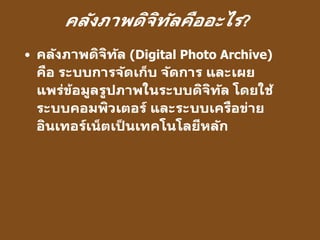 Digital Photo Archive | PDF