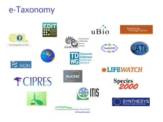 2007.Cybertaxonomy | PPT