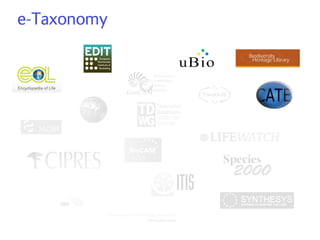 2007.Cybertaxonomy | PPT