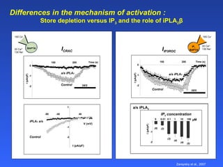 Orai1-encoded store-operated channel and TRPC1-dependent IP3 receptor ...