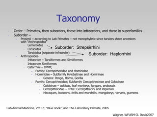2007 Non-Human Primates_unlocked.pptx