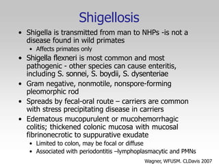2007 Non-Human Primates_unlocked.pptx