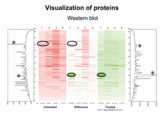 Visualizing protein sequence annotations | PPT | Databases | Computer Software and Applications