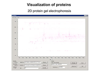 Visualizing protein sequence annotations | PPT | Databases | Computer Software and Applications