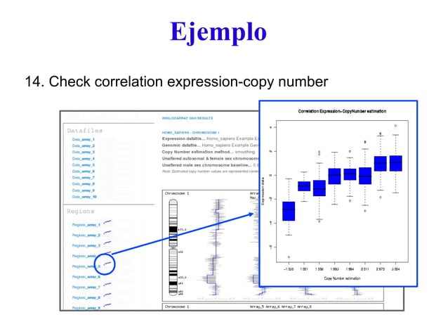 Gene gain and loss: aCGH. ISACGH | PPT