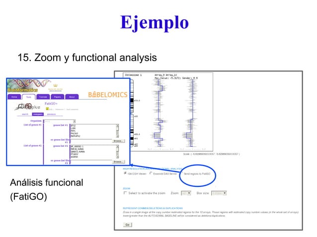 Gene gain and loss: aCGH. ISACGH | PPT