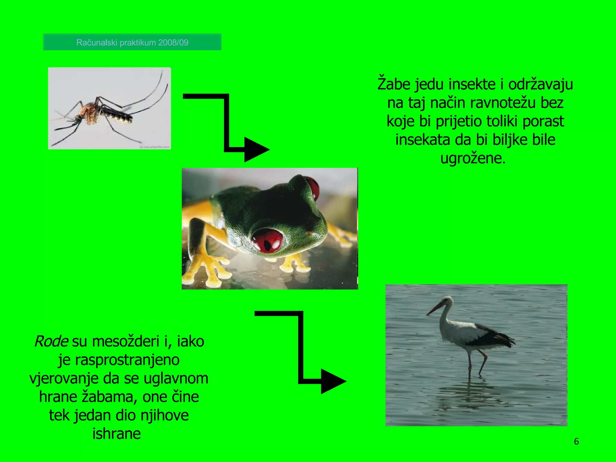 2008 09 B1856 Ivana Selanec | PPT