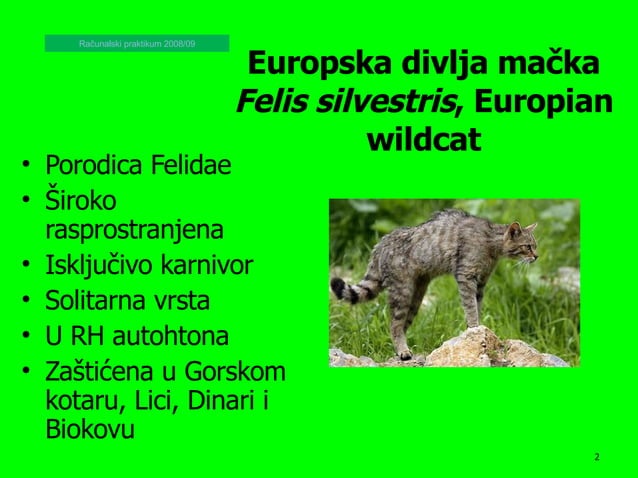 2008 09 B1856 Ivana Selanec | PPT