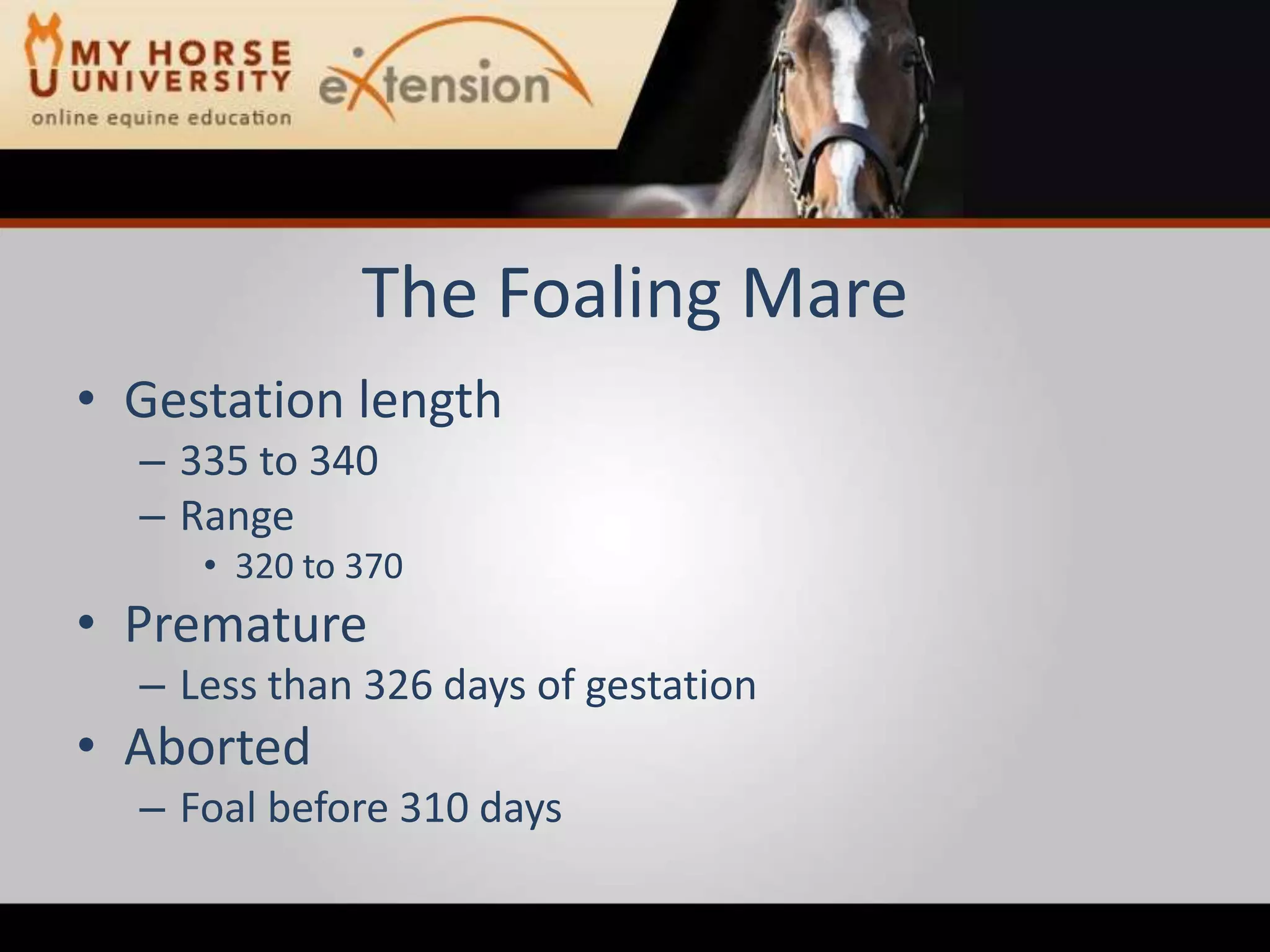 2008 12 Anderson The Foaling Process | PPTX