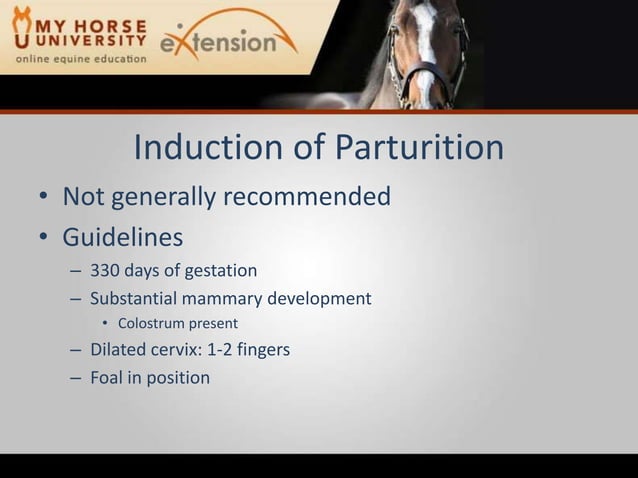 2008 12 Anderson The Foaling Process | PPTX | Pregnancy | Reproductive ...