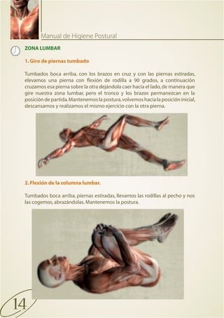 HIGIENE DE COLUMNA | PDF