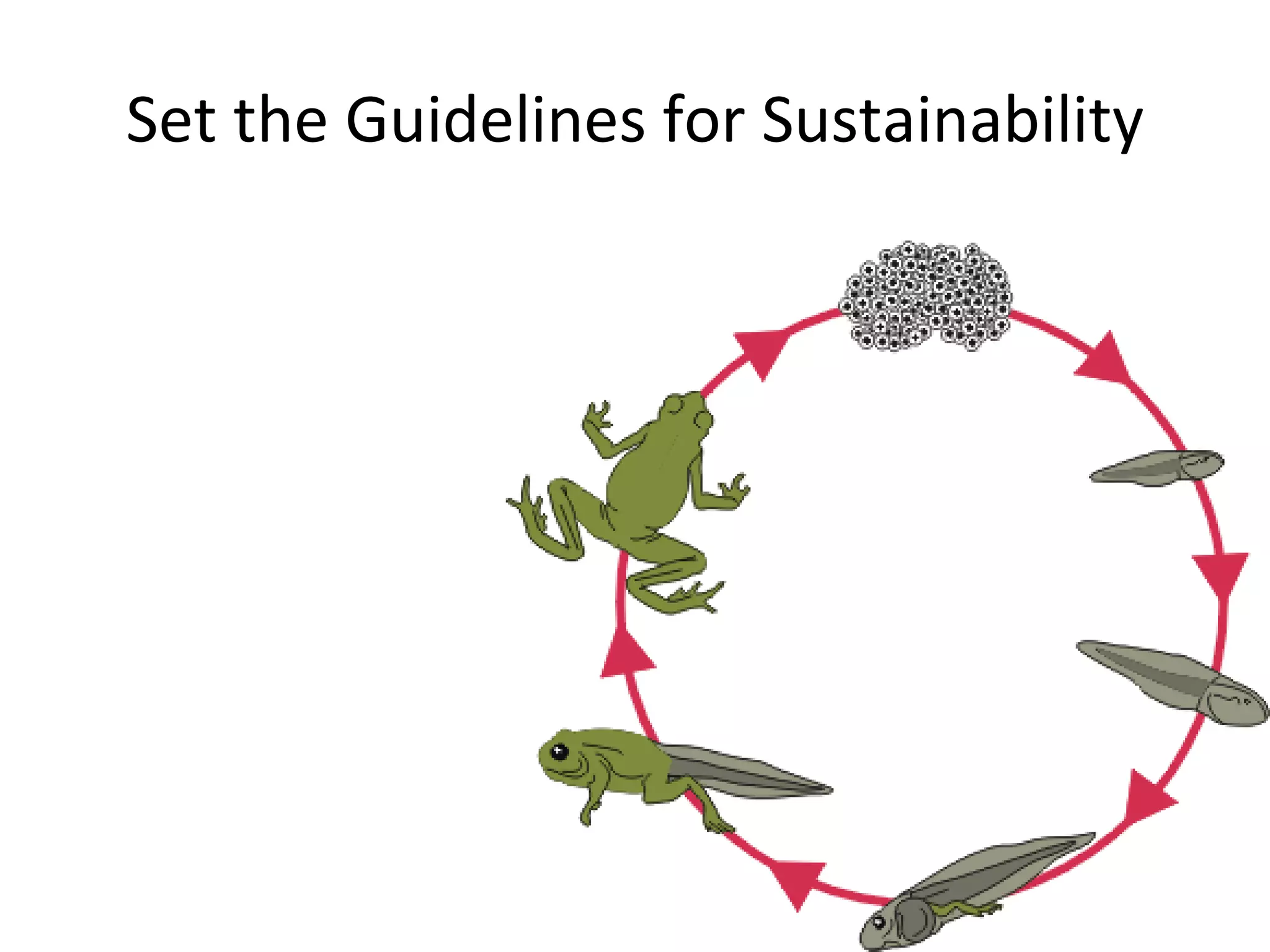 How To Do A Perfect Process Documentation Project | PPT