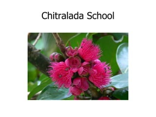chitralada school | PPT