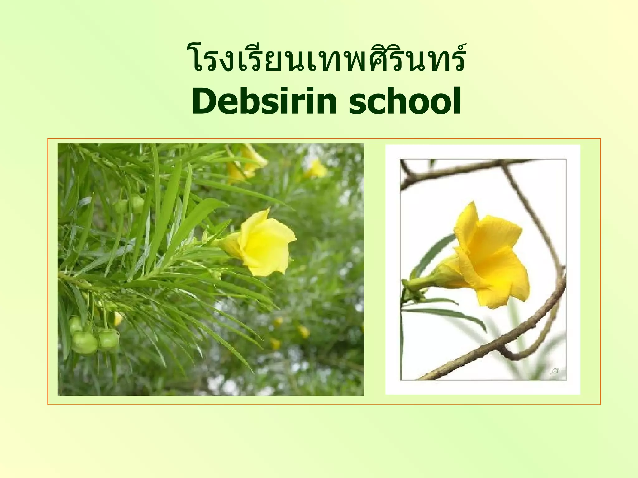 debsirin plant | PPT