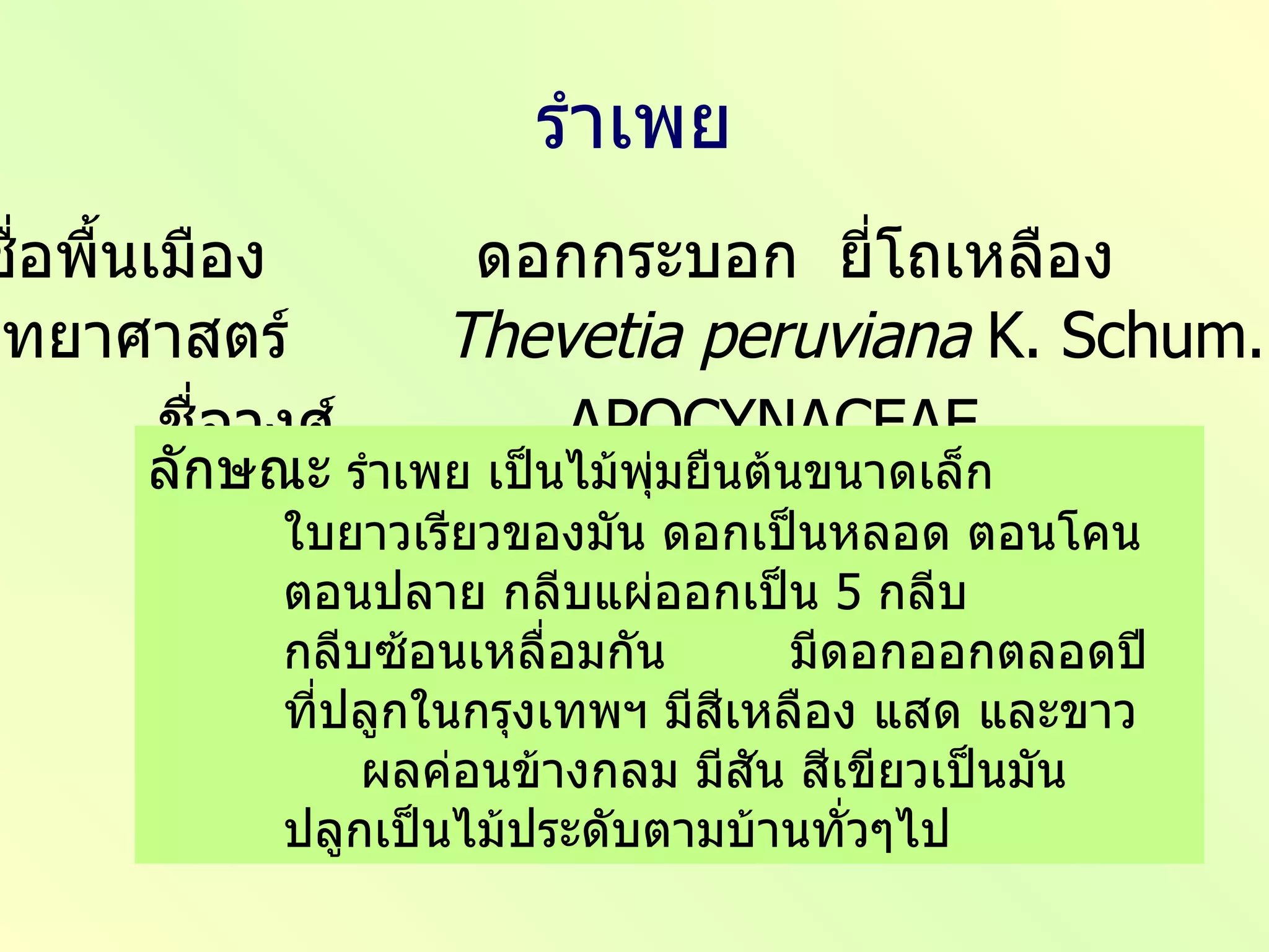 debsirin plant | PPT