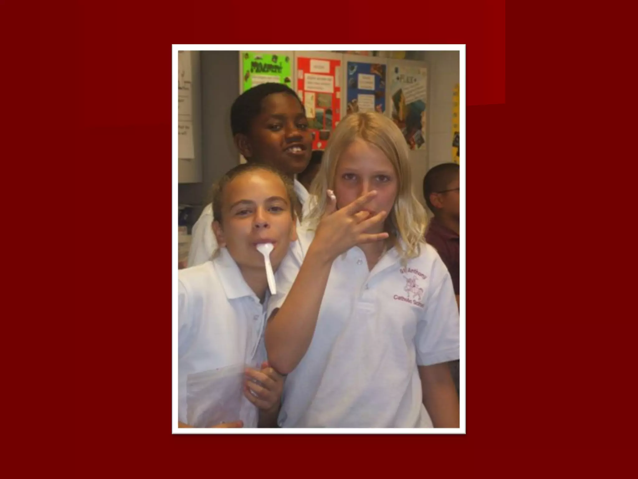 2008 09 Science Class | PPT | Food & Drink