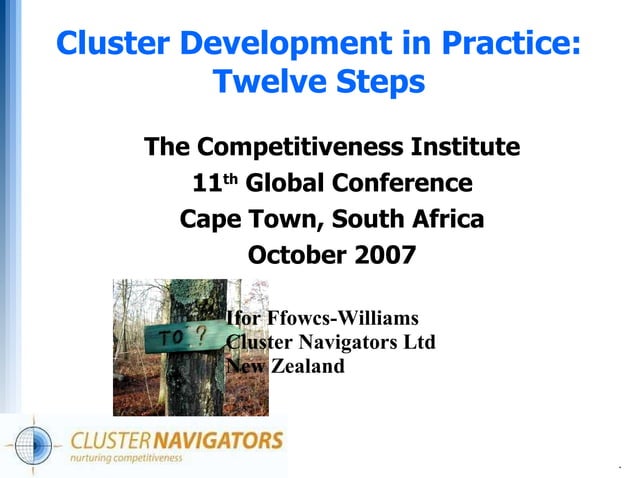 Cluster basics: Cluster Development in Practice - Twelve Steps | PDF