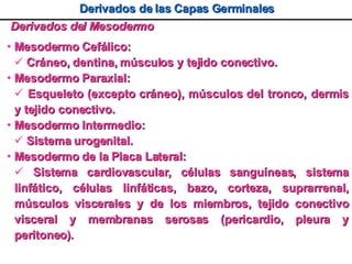 2008 Embrio | PPT