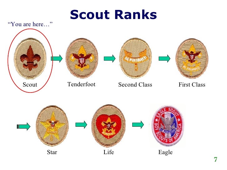 New Scout Patrol Program