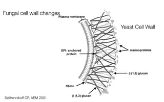 Connecting ultrastructure to molecules | ZIP