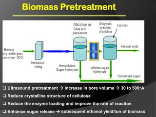 Biomass Conversion to Biofuel and Biobased Product | PDF