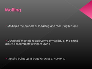 Moulting | PPT
