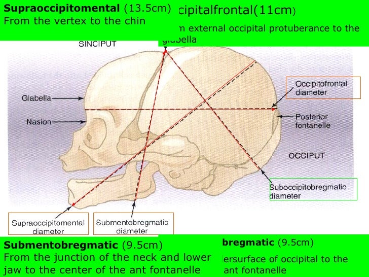 2.Menstrual2009