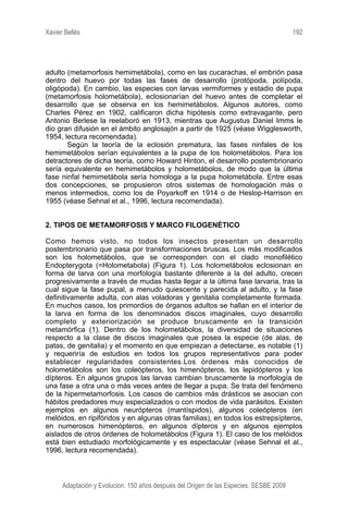 PDF INSECTOS | PDF