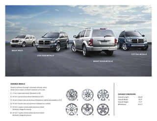 2010 Durango Buffalo | PPT