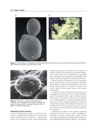 2009. yeast | PDF
